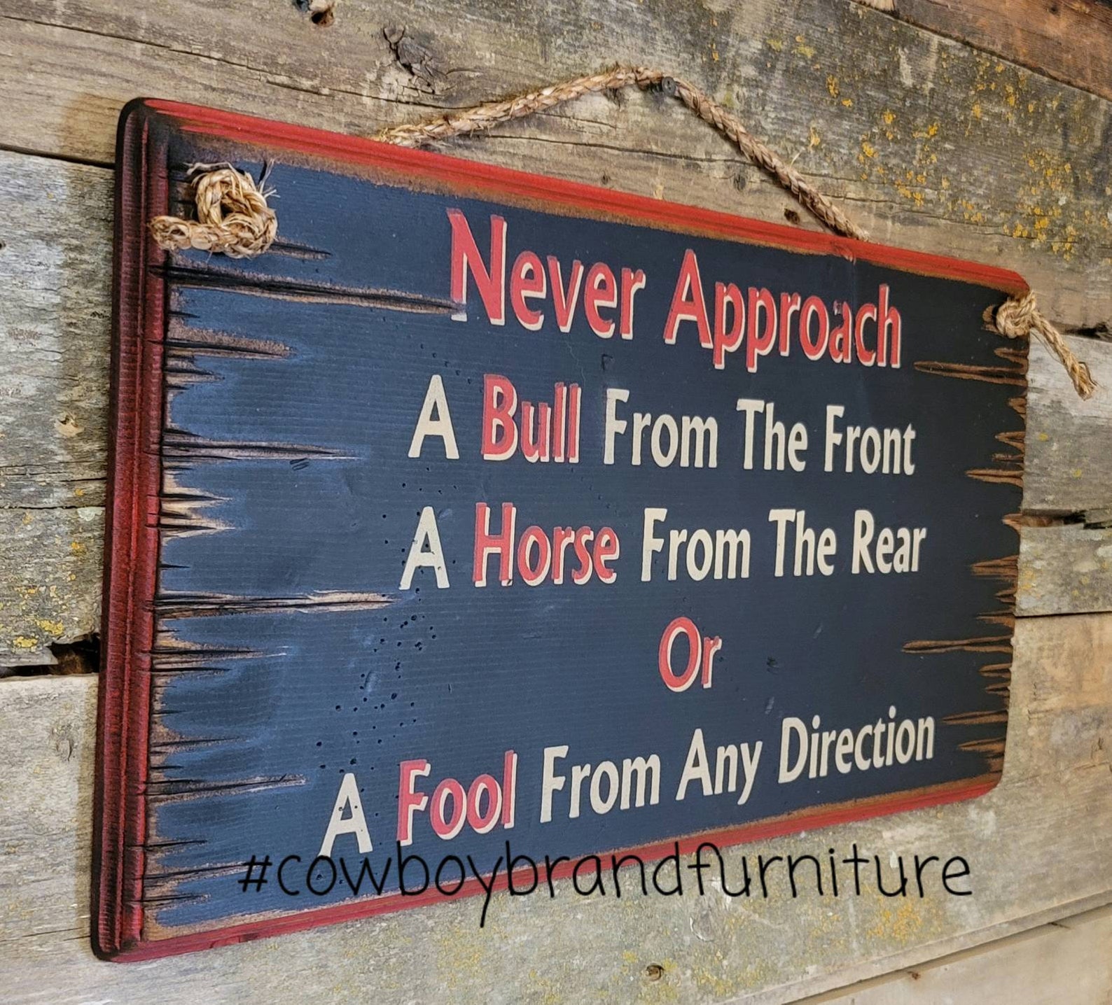 Never Approach, A Bull From the Front, A Horse From the Rear or A Fool ...