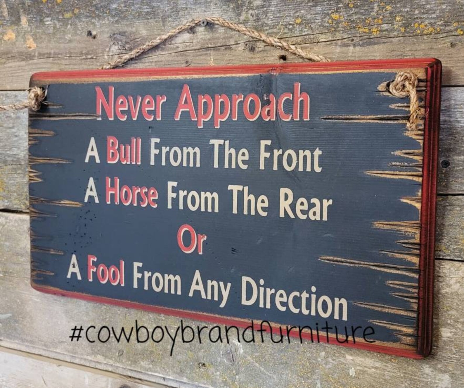 Never Approach, A Bull From the Front, A Horse From the Rear or A Fool ...
