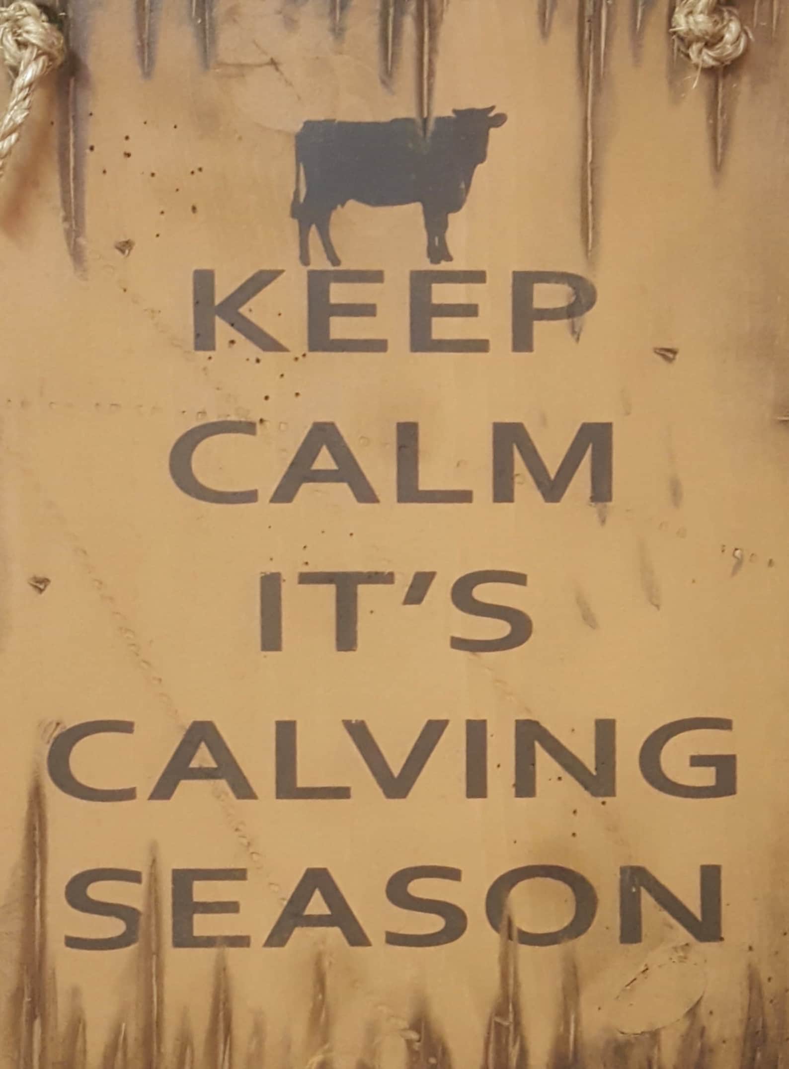 Keep Calm, It's Calving Season, Western, Antiqued, Humorous, Wooden ...