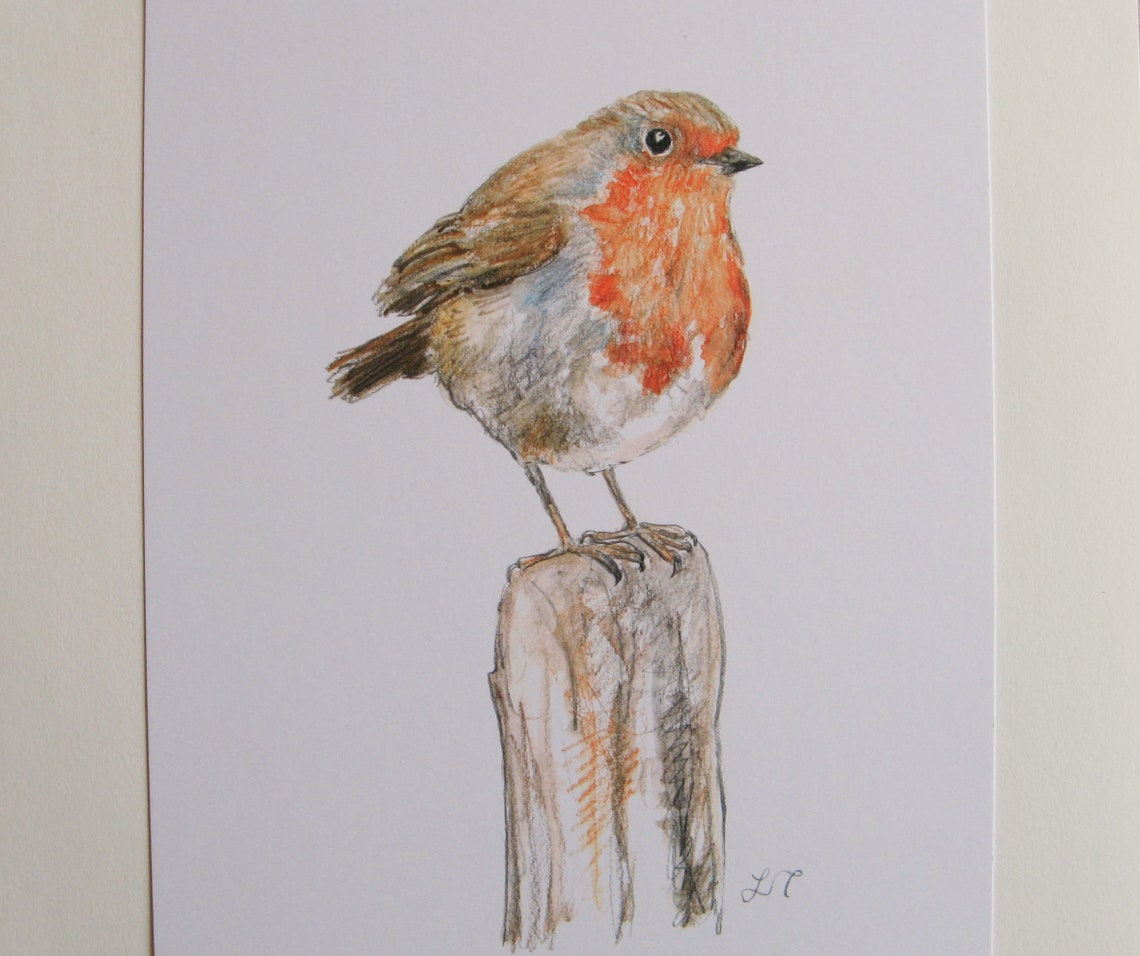Robin Art Print Wildlife Print Watercolour Print. - Etsy