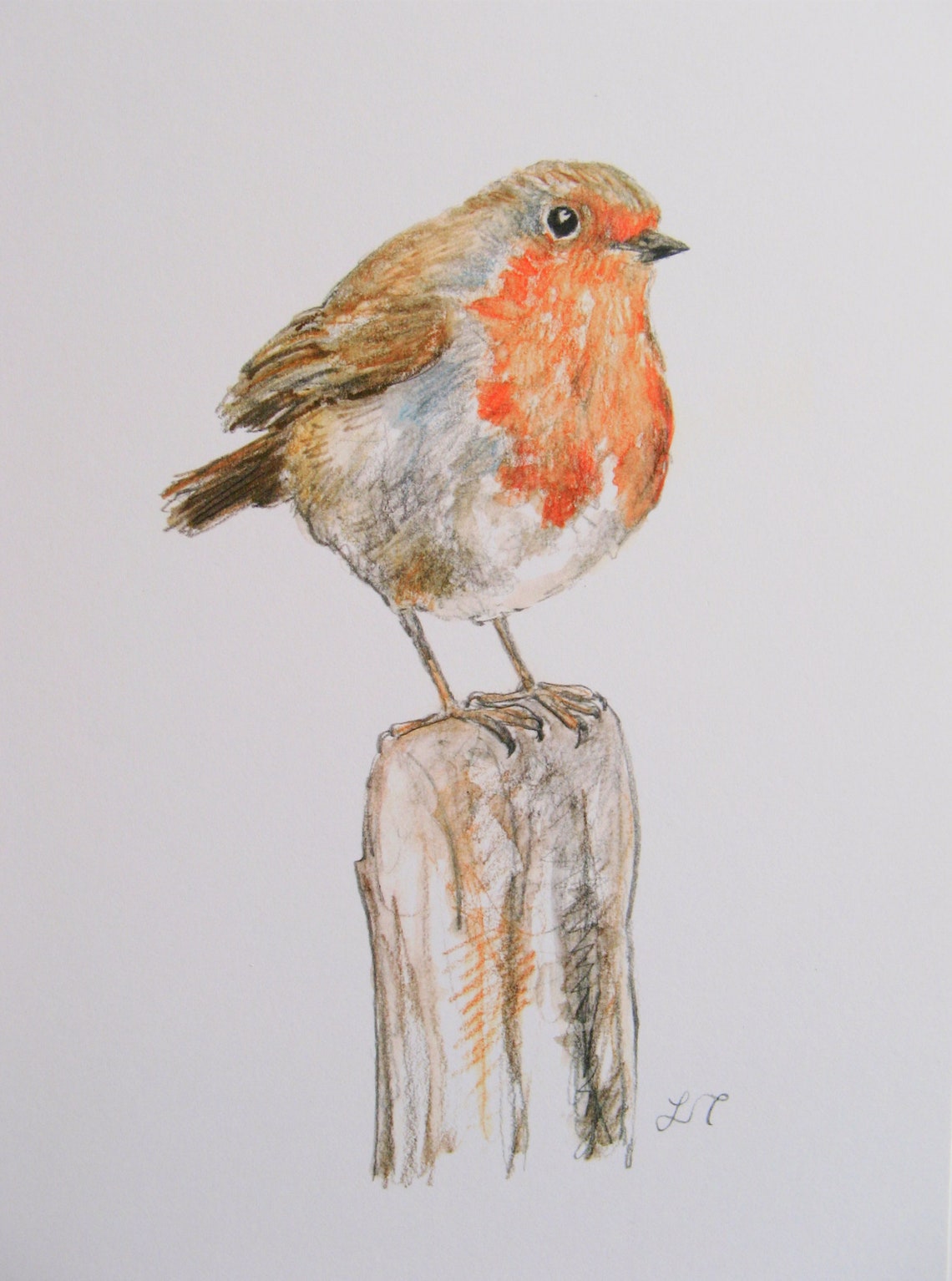 Robin Art Print Wildlife Print Watercolour Print. - Etsy