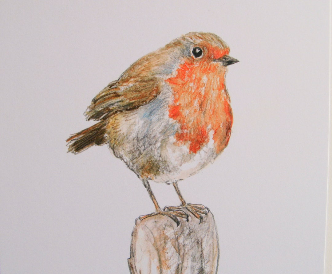 Robin Art Print Wildlife Print Watercolour Print. - Etsy