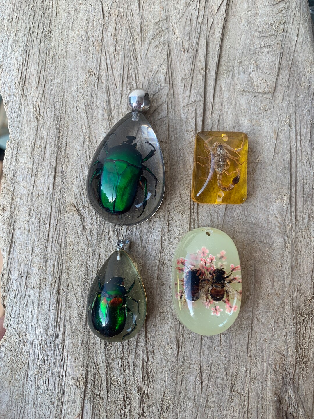 Lot of 4, Resin Block Insects Pendant for Crafts - Etsy