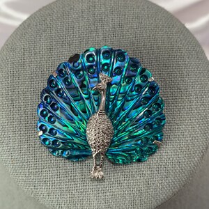 Carved Abalone Pāua Shell Brooch May Be Unsigned G. D. Beatson, Natural ...