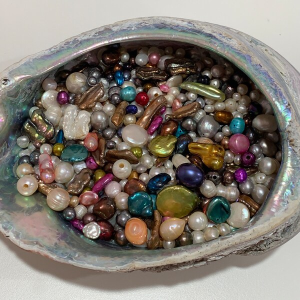 Oval Shaped Pearl - Etsy