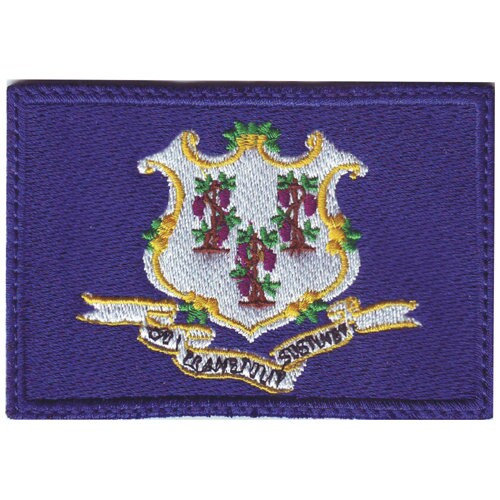 Alaska Flag Embroidered Patch | Etsy