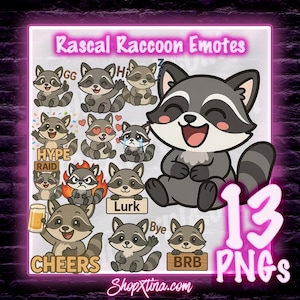 13 Rascal Raccoon Emote Set | Discord, Twitch, Youtube, OBS, Streamlabs ...