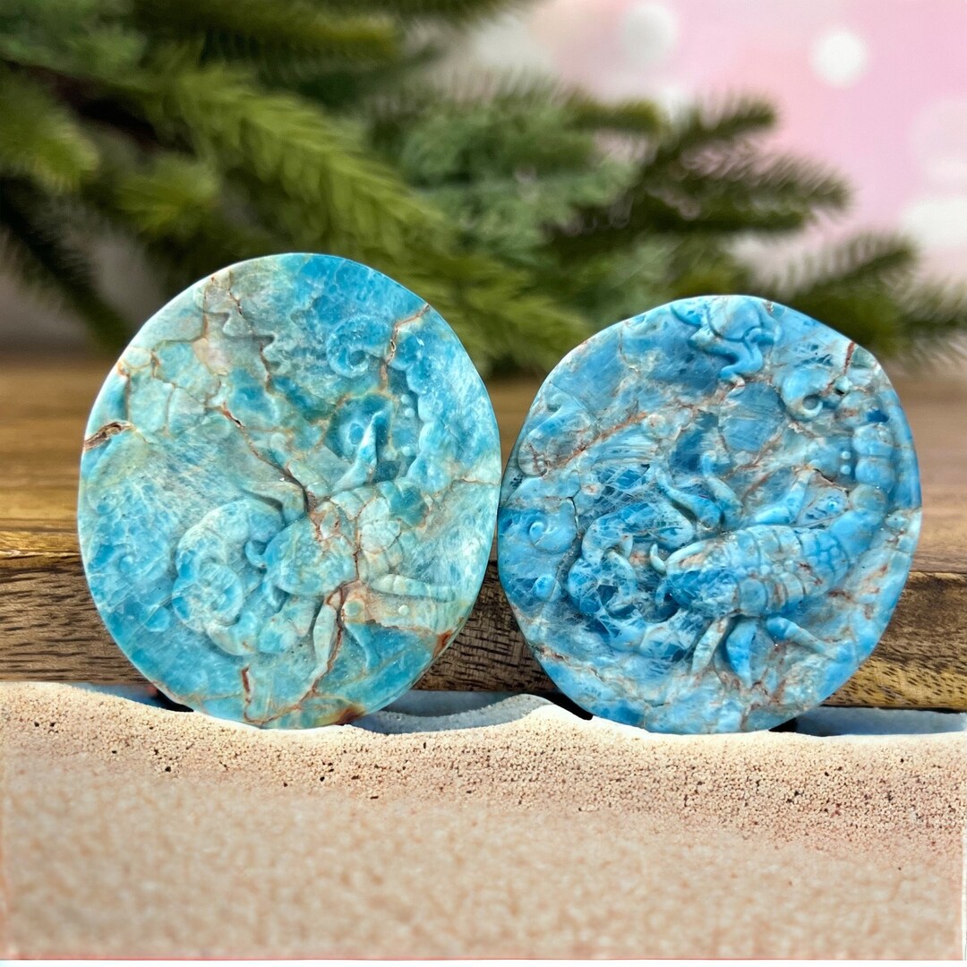 Scorpion Blue Apatite Crystal Carving - Carved Stone Cabochon Big ...