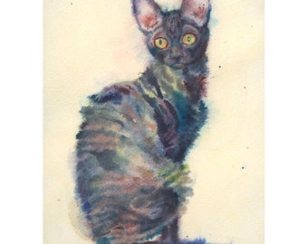 A Little Cornish Rex Cat Art Print - Etsy