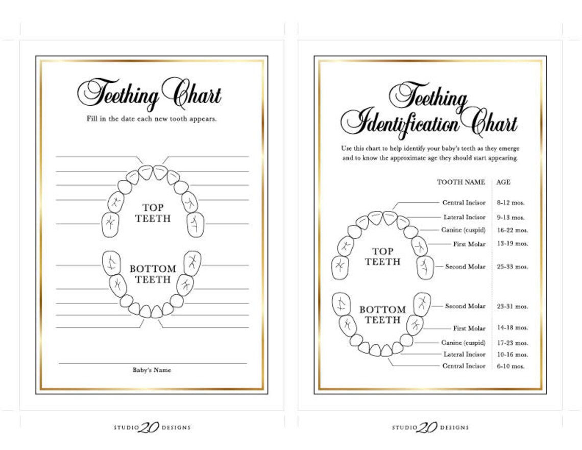 Baby Teething Chart 5x7 Baby Tooth Eruption Chart Teething - Etsy