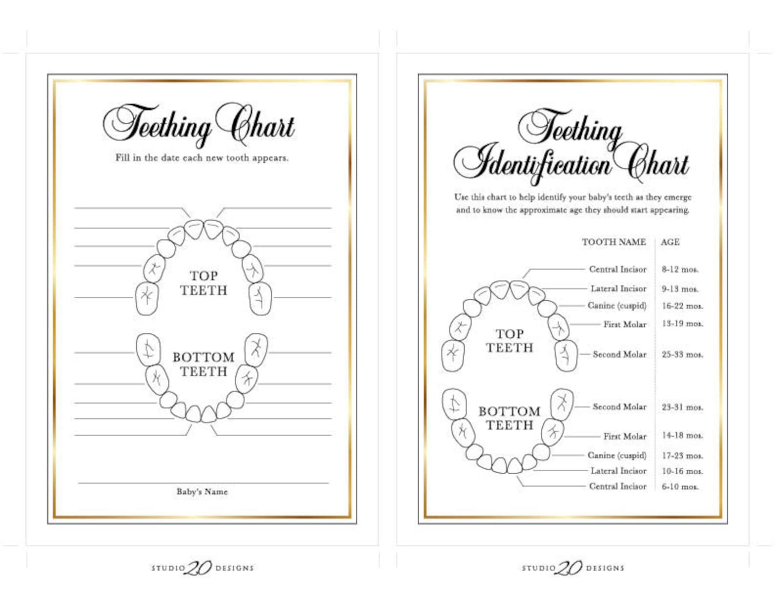 Baby Teething Chart 5x7 Baby Tooth Eruption Chart Teething - Etsy