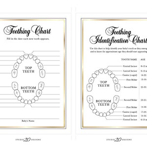 Baby Teething Chart, 5x7 Baby Tooth Eruption Chart, Teething Record ...