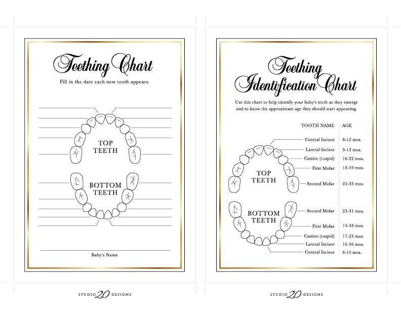 Baby Teething Chart, 5x7 Baby Tooth Eruption Chart, Teething Record ...