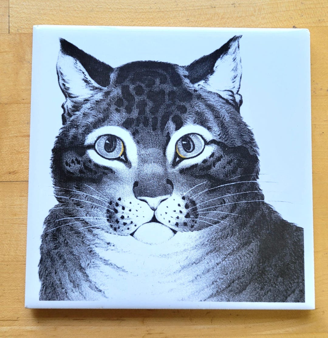 The Favorite Cat Tile MET Metropolitan Museum of Art Vintage Nathaniel ...