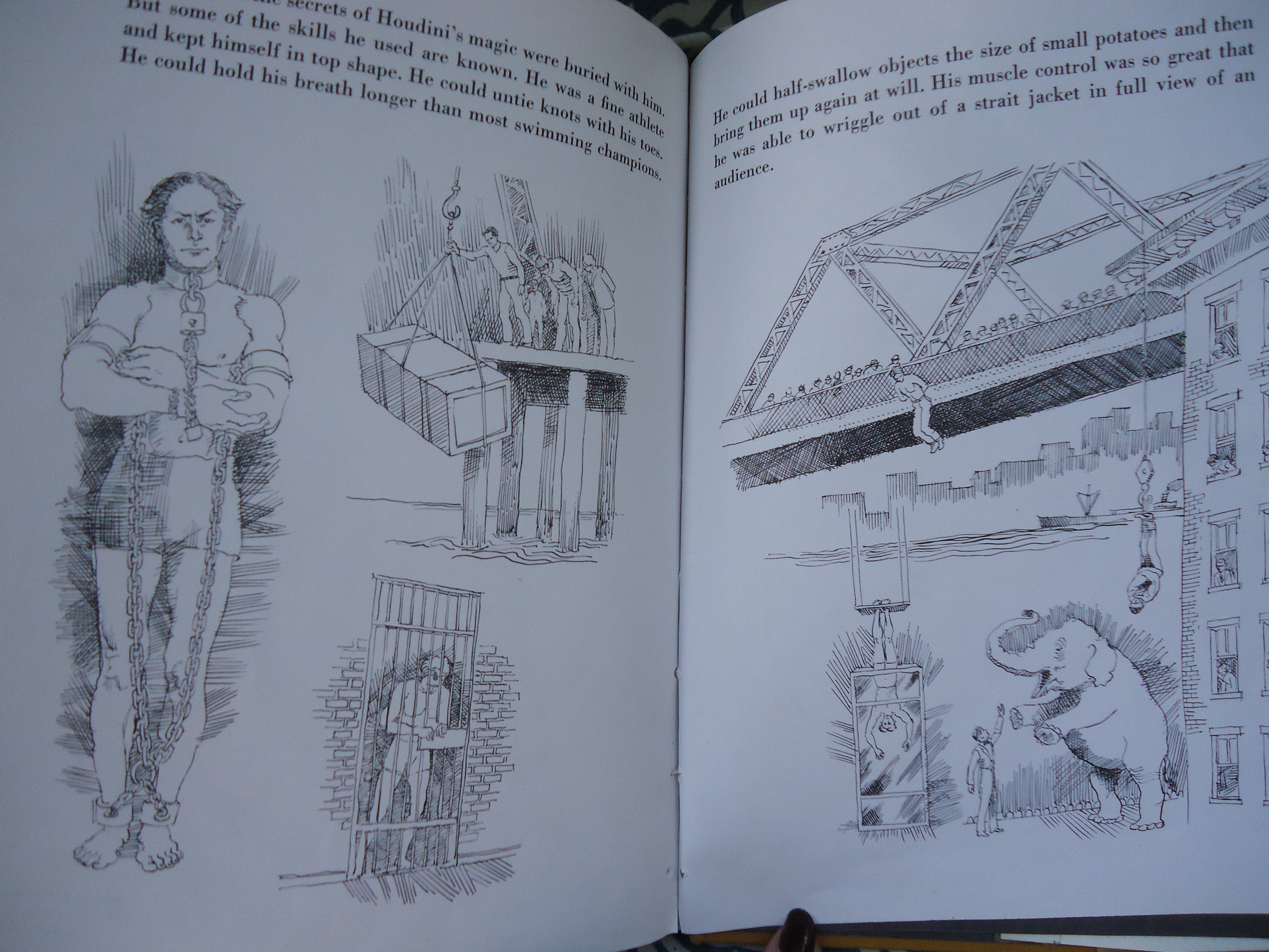 Escape King the Story of Harry Houdini Book - Etsy