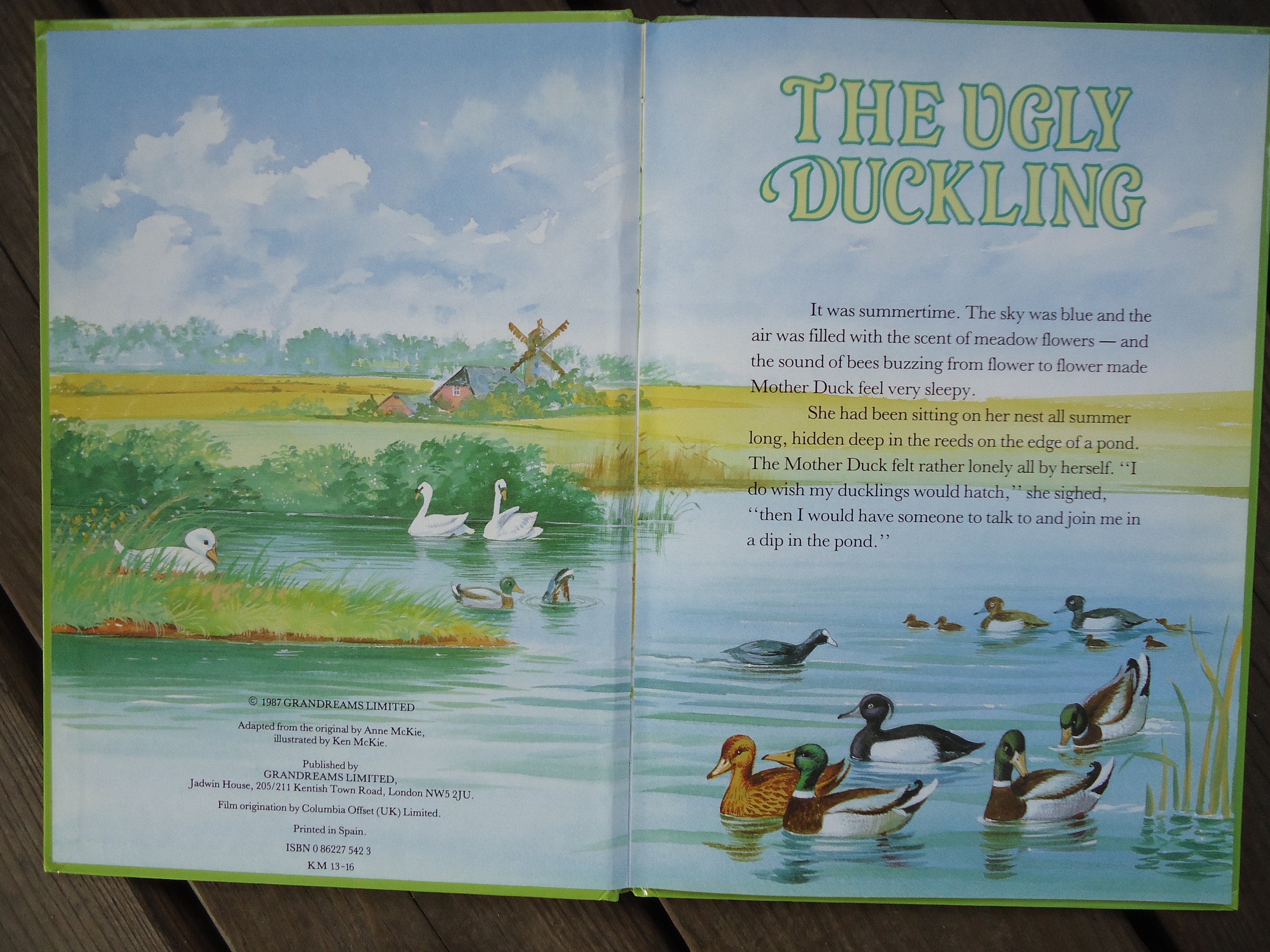 Ugly Duckling and Peter Pan Book - Etsy