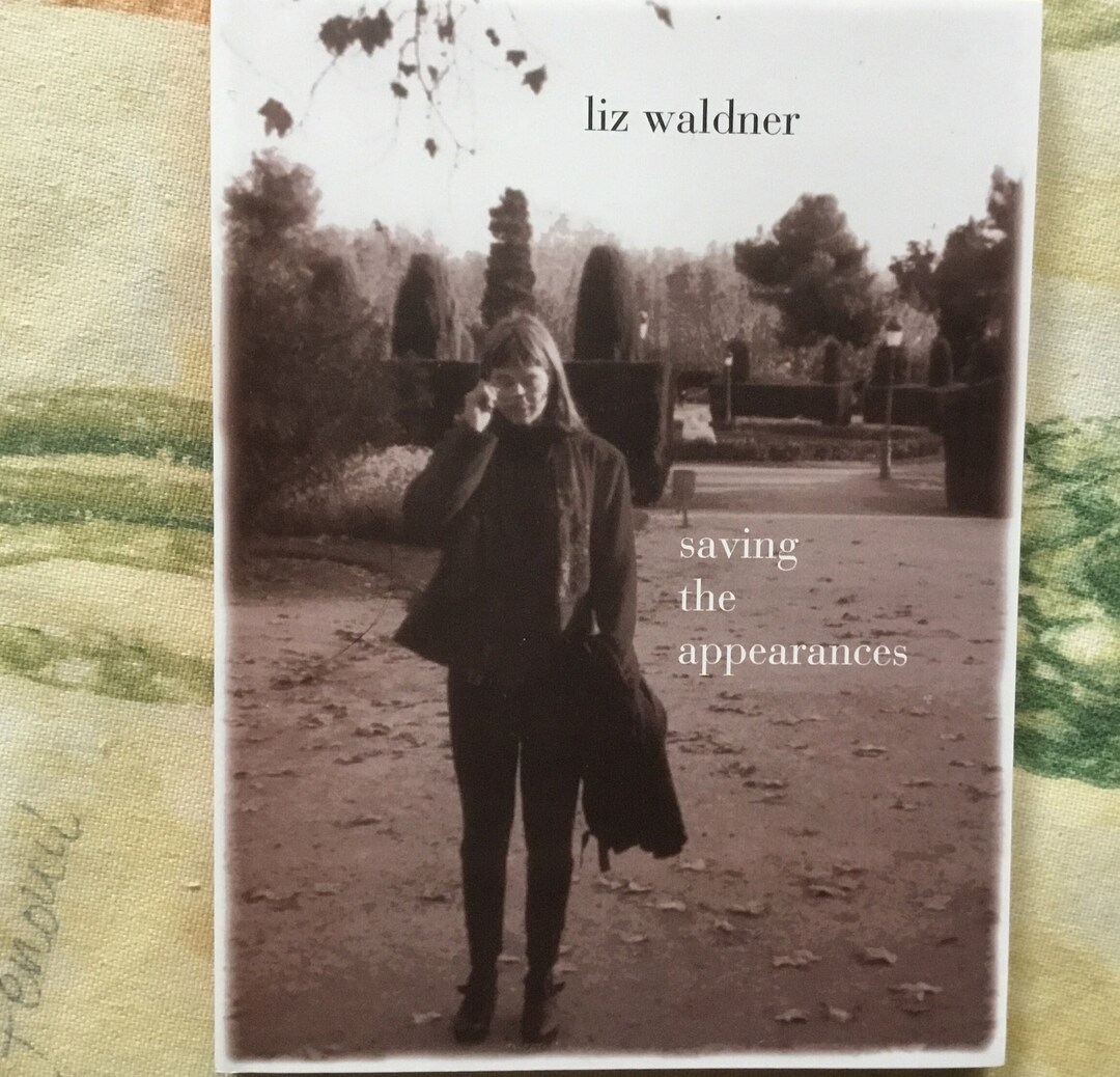 Saving the Appearances by Liz Waldner Ahsahta Press - Etsy