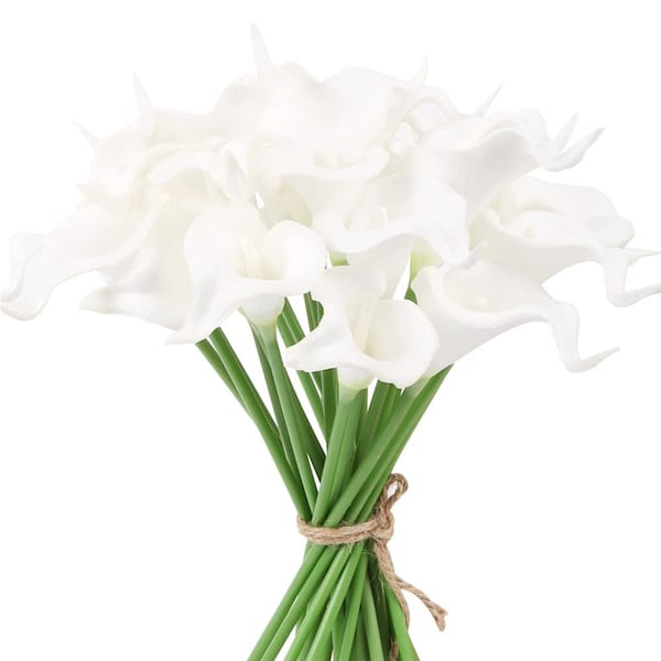 Red Calla Lilies - Etsy