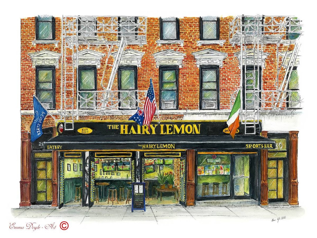 Irish Bar - the Hairy Lemon, Manhattan, NYC, USA - Etsy