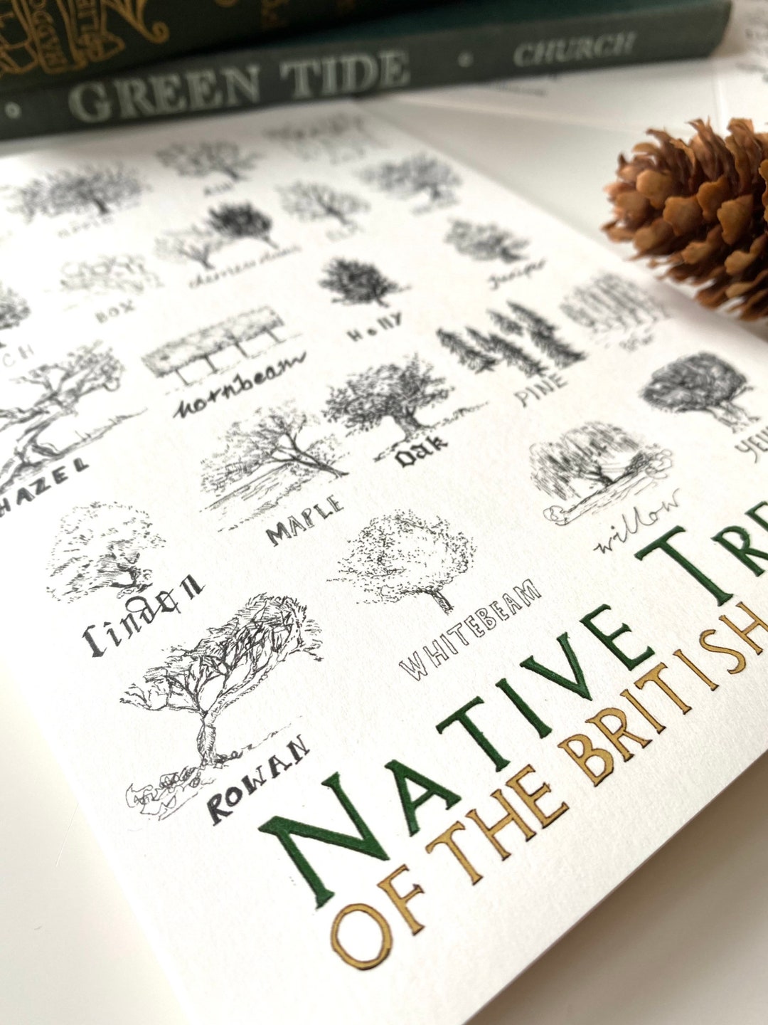 Native Trees of the British Isles, 5 cards and envelopes, illustrated ...
