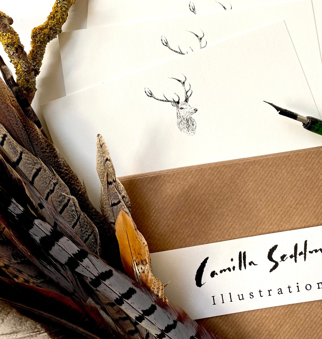 Stag Note Cards, Set of Six With Natural Kraft Envelopes, Featuring ...