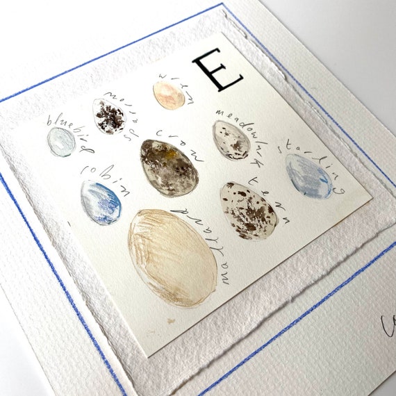 E is for Egg Signed Original A-Z Letter Illustration by | Etsy