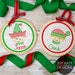 Elf Face Ornament Embroidery Design Set - Etsy
