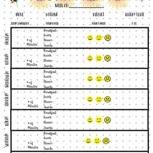 PRINTABLE Weekly Accountability Chart & Water Intake--digital File - Etsy
