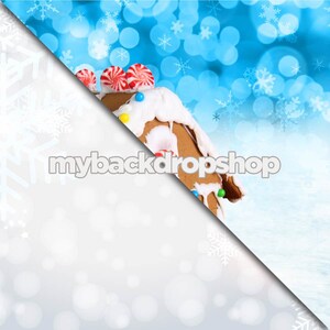 Combo Two 4ft X 4ft Vinyl or Poly Photography Backdrop and - Etsy