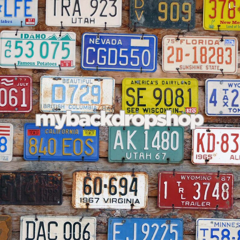 6ft X 6ft License Plate Backdrop for Photography Fun - Etsy