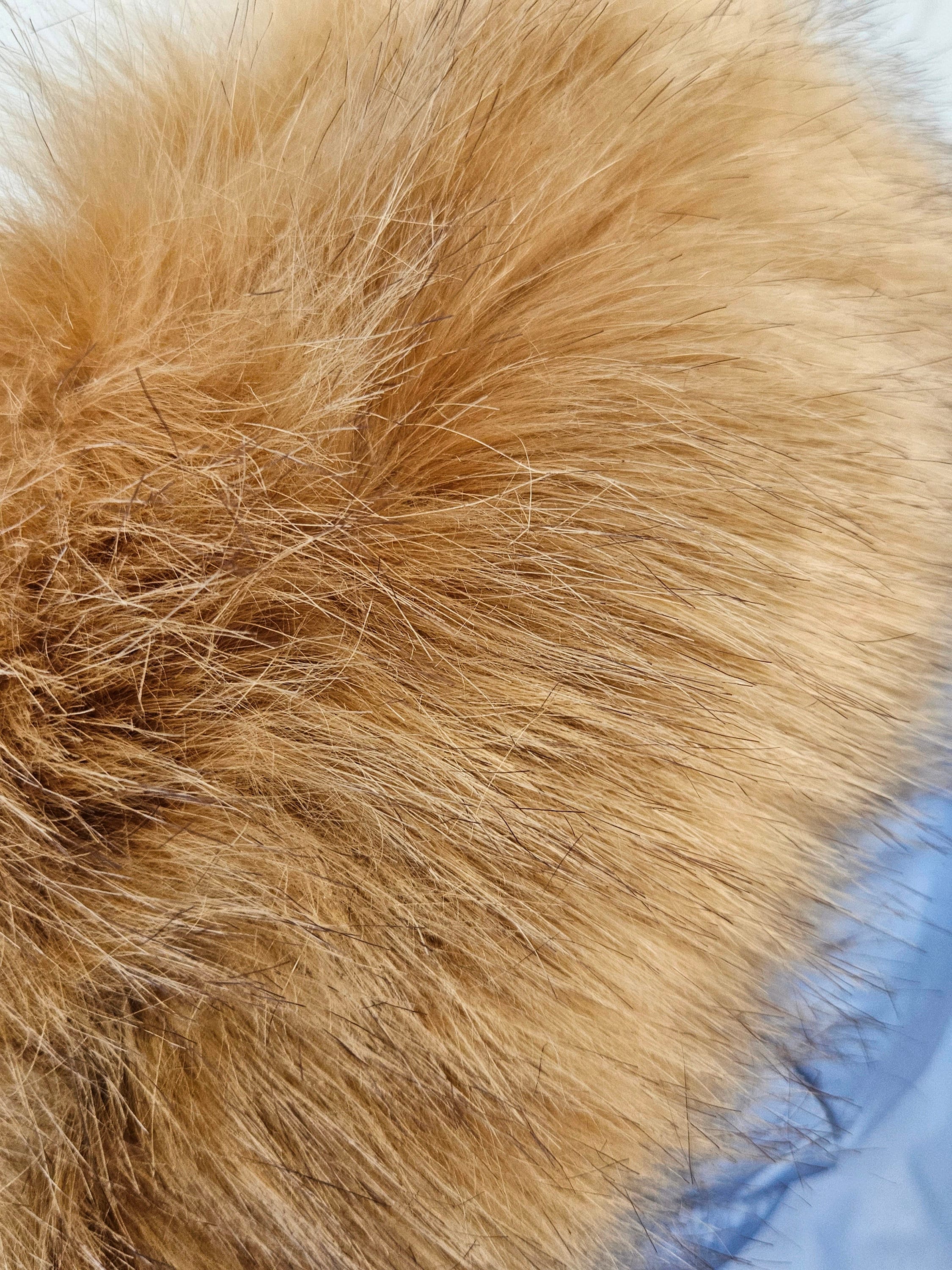 READY to SHIP XL Faux Fur Vegan Trim Hood 70 Cm, Faux Fur Collar Trim ...