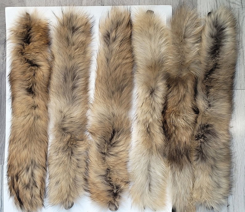 BY ORDER XXL Extra Large Finnish Raccoon Fur Collar, Fur Trim Hoodie ...