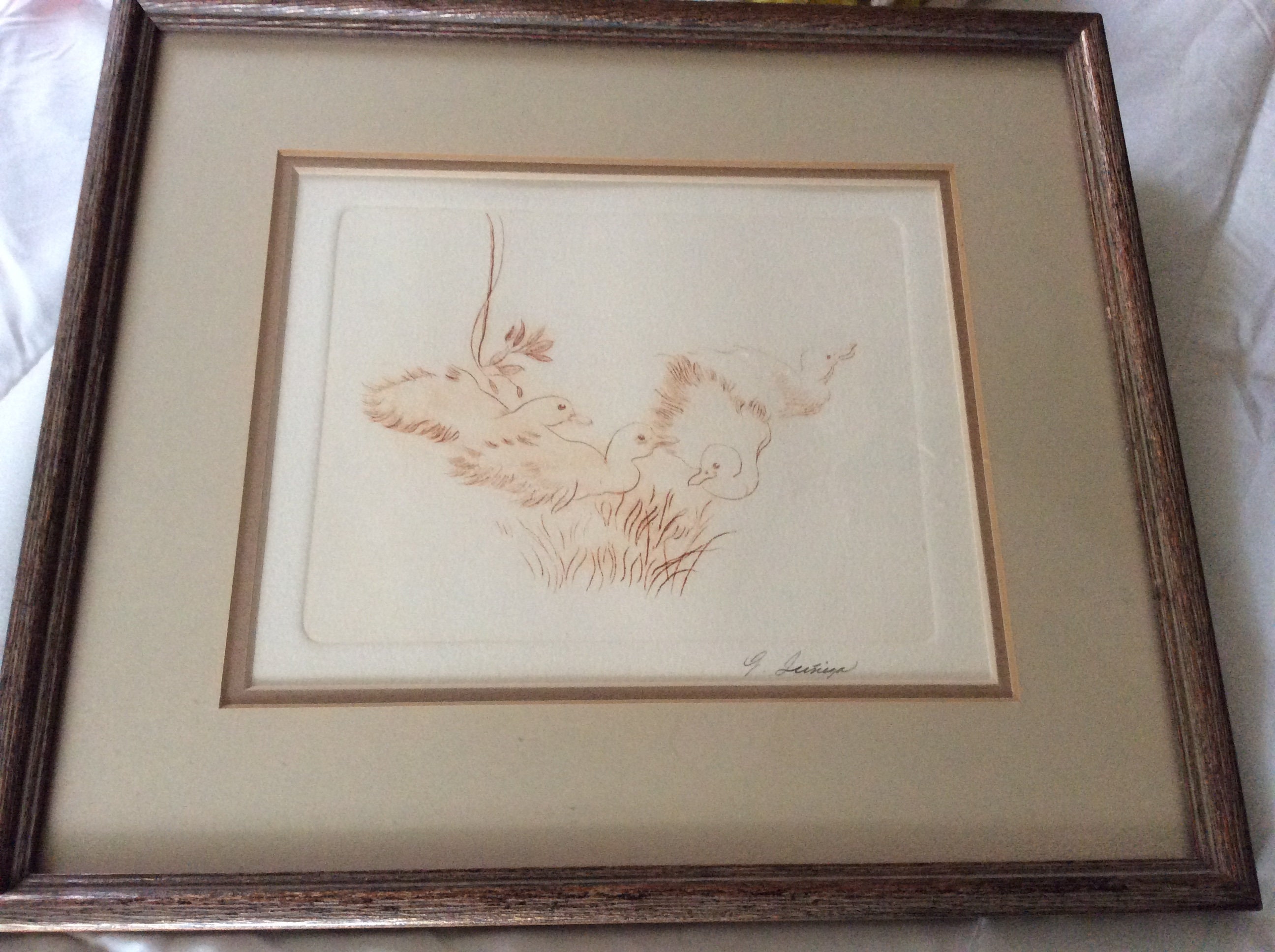 Guillermo Zuniga Fine Art Wildlife Etching Ducks in Marsh - Etsy