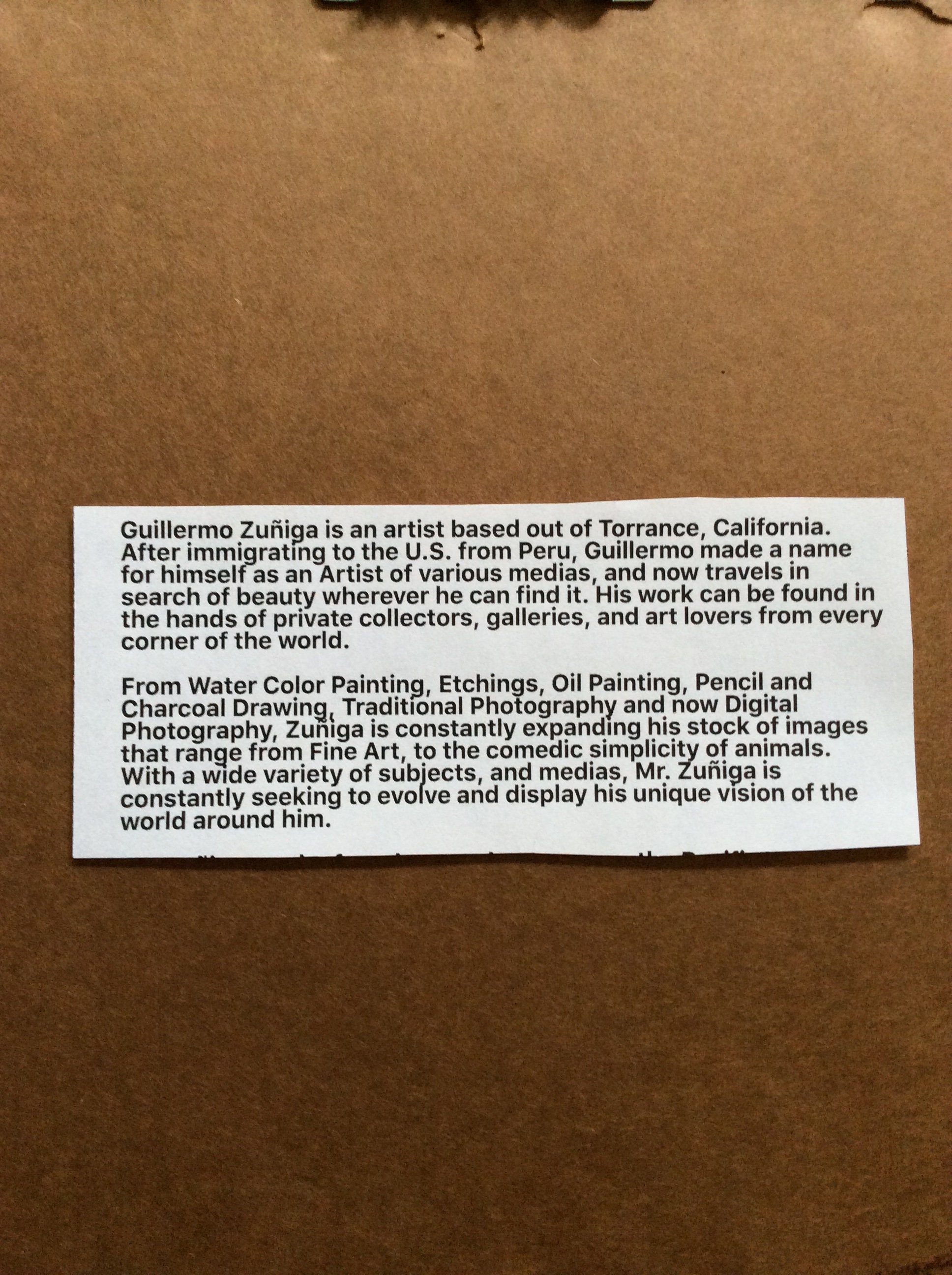 Guillermo Zuniga Fine Art Wildlife Etching Ducks in Marsh - Etsy