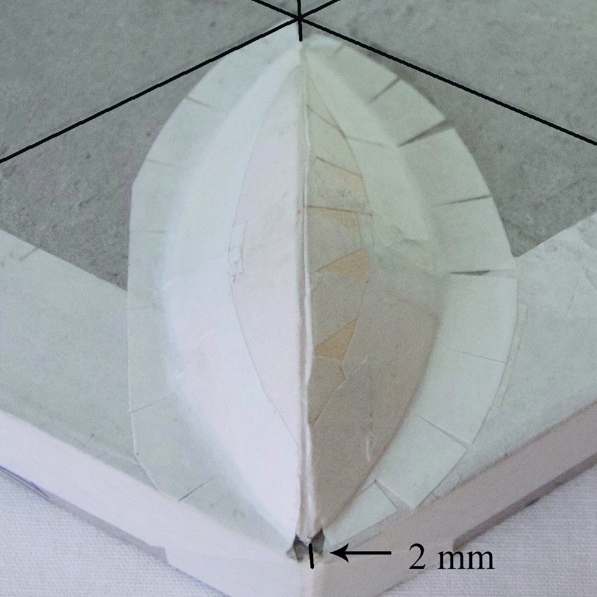 Cartonnage Tutorial of a Box With a Daisy Lid - Etsy