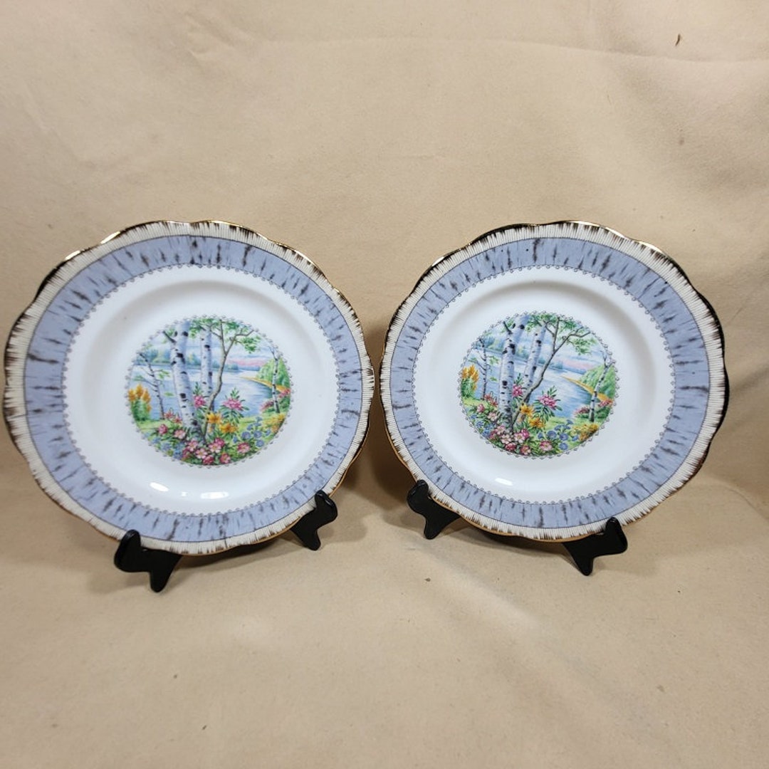 Royal Albert Silver Birch 8 1/4 Inch Salad Plate Lot of 2 - Etsy