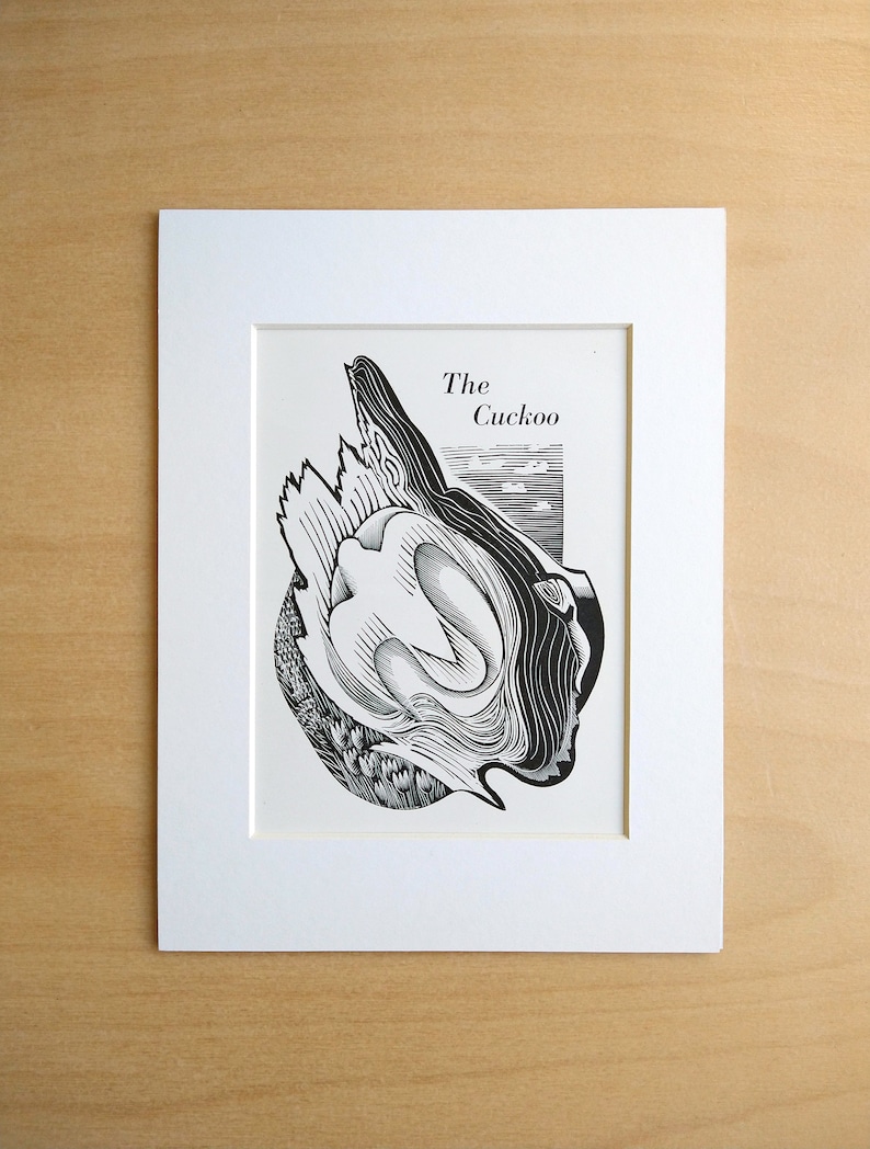 The Cuckoo. 1936 Original Vintage Illustration From a Wood Engraving by ...