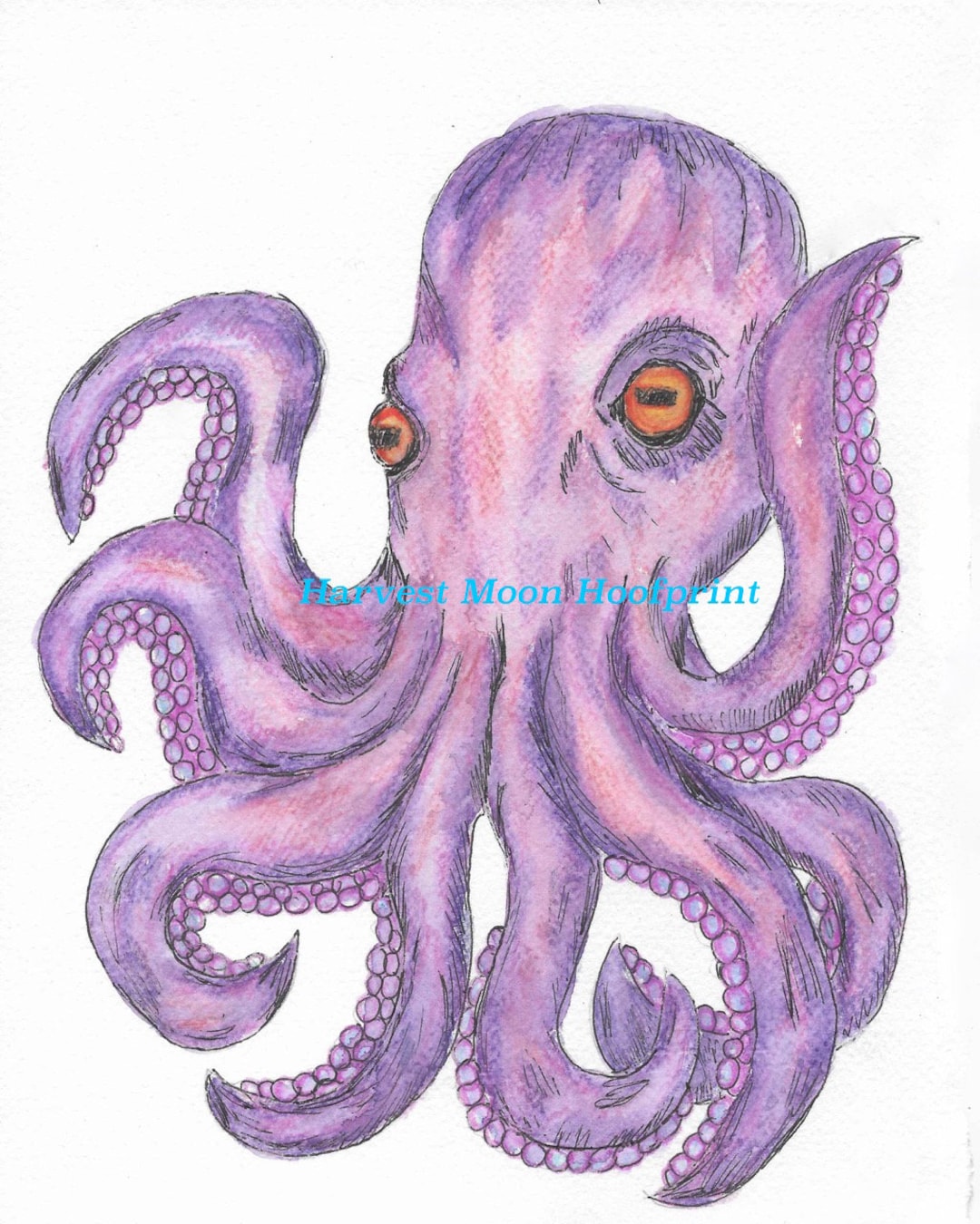 Octopus Fine Art Print, Pink and Purple Sea Creature, From Original ...