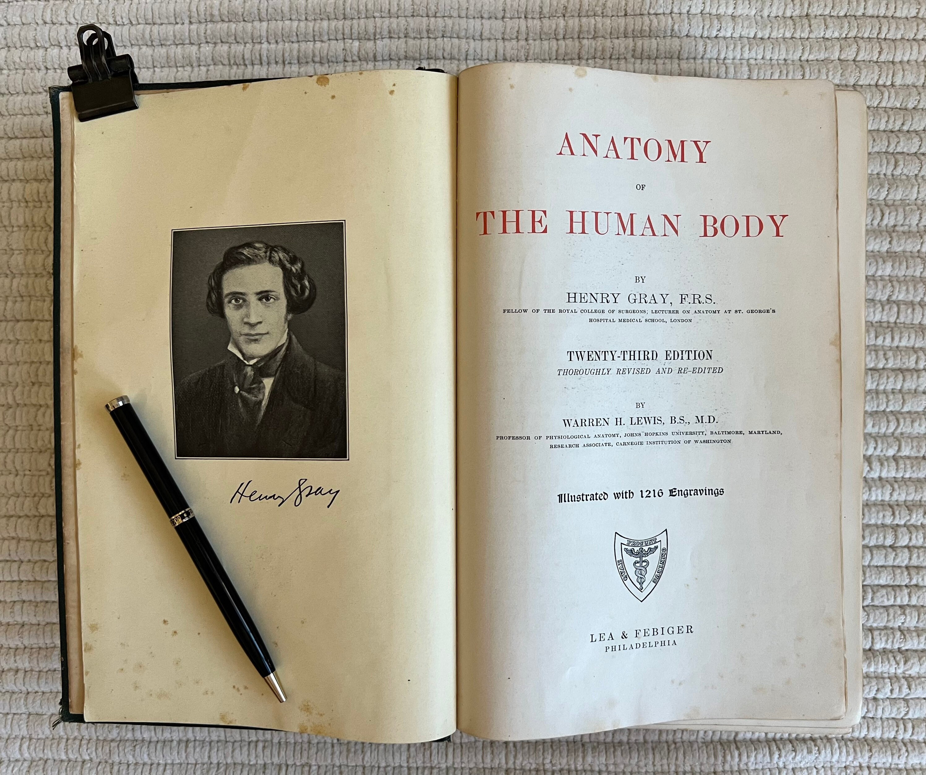 1936 Anatomy of the Human Body grays Anatomy by Henry - Etsy