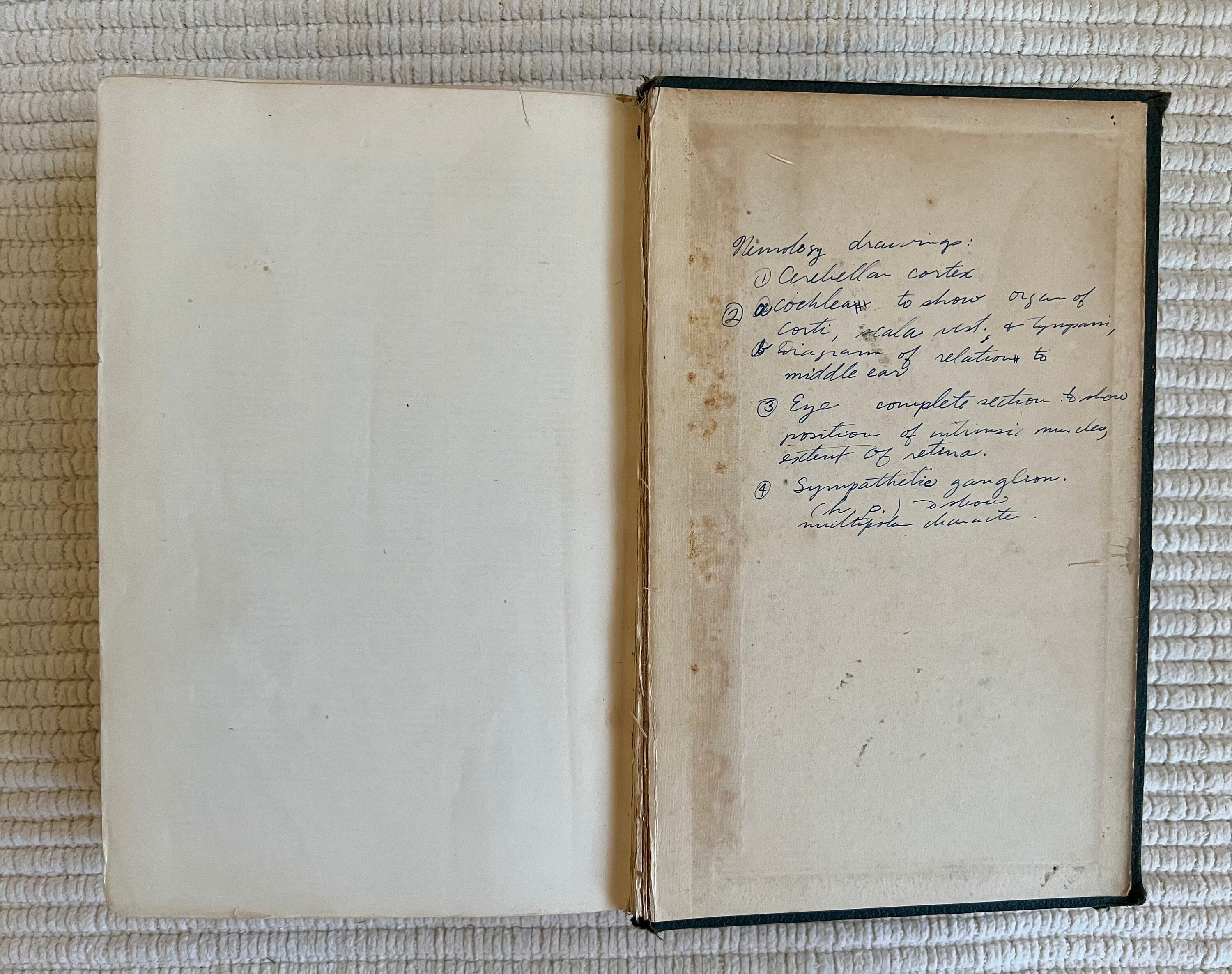 1936 Anatomy of the Human Body grays Anatomy by Henry - Etsy