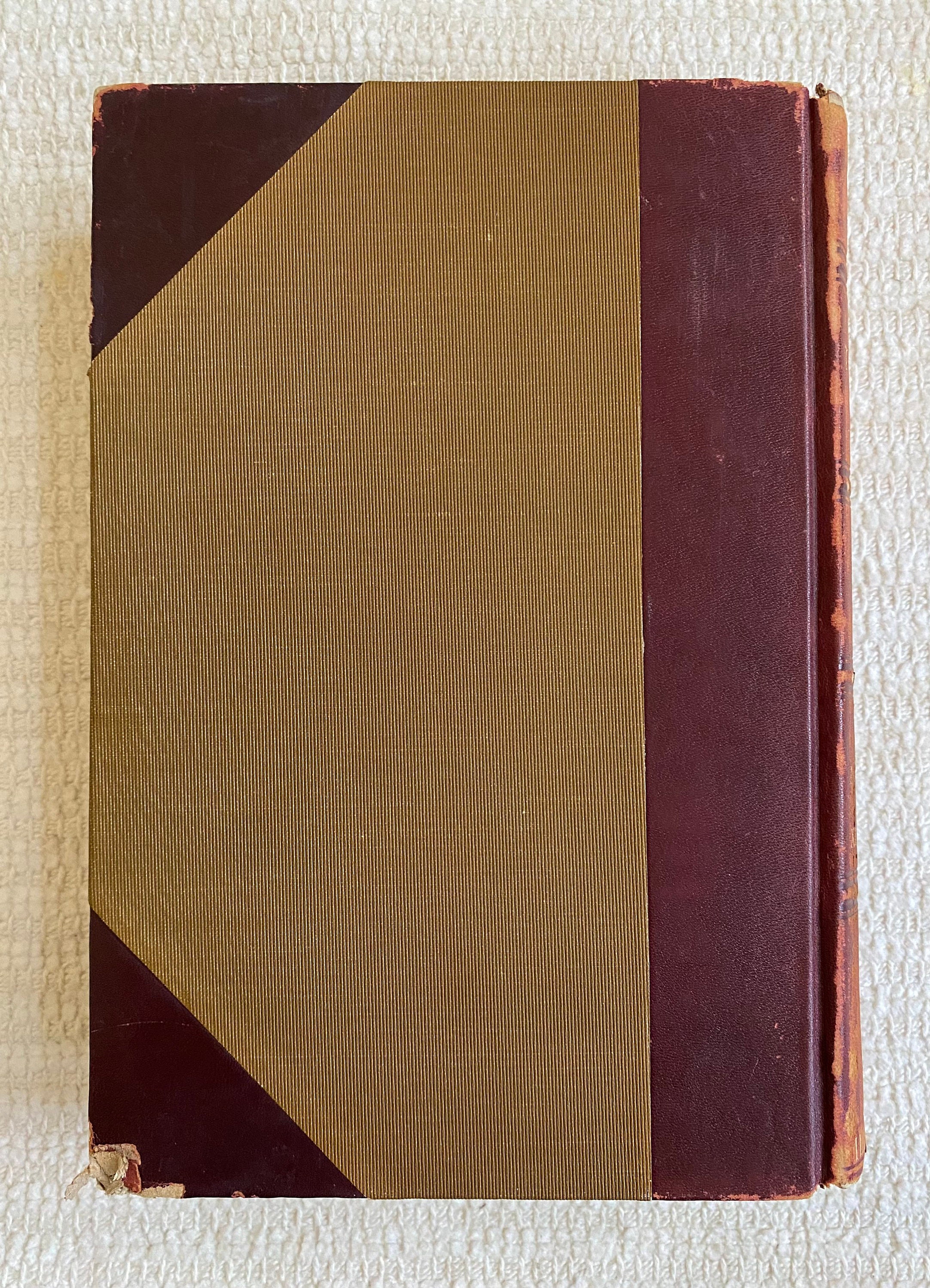 1899 Six Thousand Years of History Volume X Achievements of the XIX ...