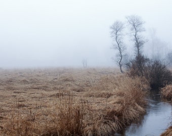 Landscape Photography PRINT ONLY Summer Spring Fine Art Photography Fog ...