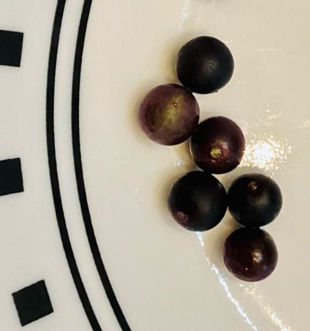 Sunberry German Blackberry Wonderberry Unique German Heirloom 25 Seeds ...