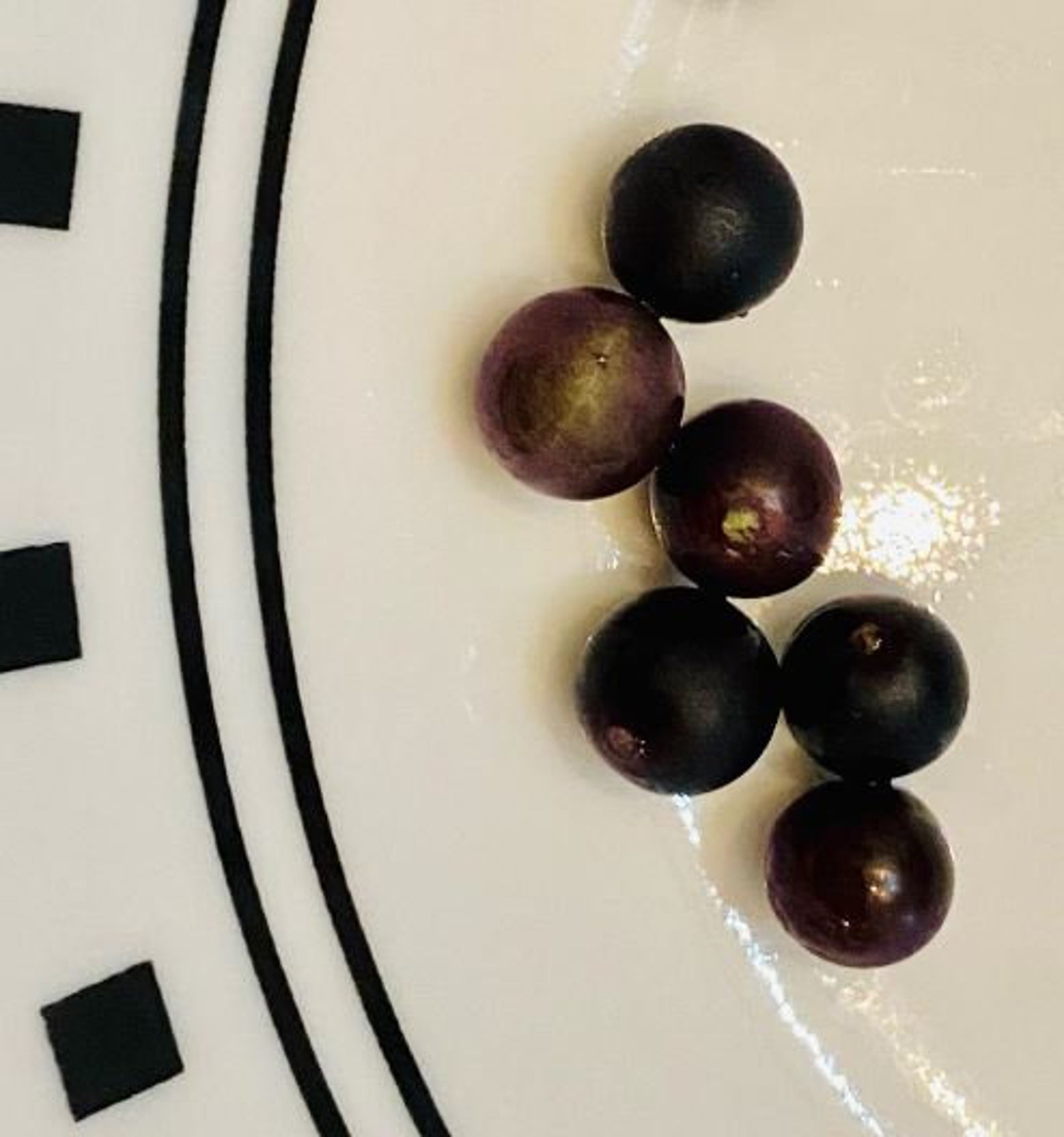 Sunberry German Blackberry Wonderberry Unique German Heirloom 25+ Seeds ...