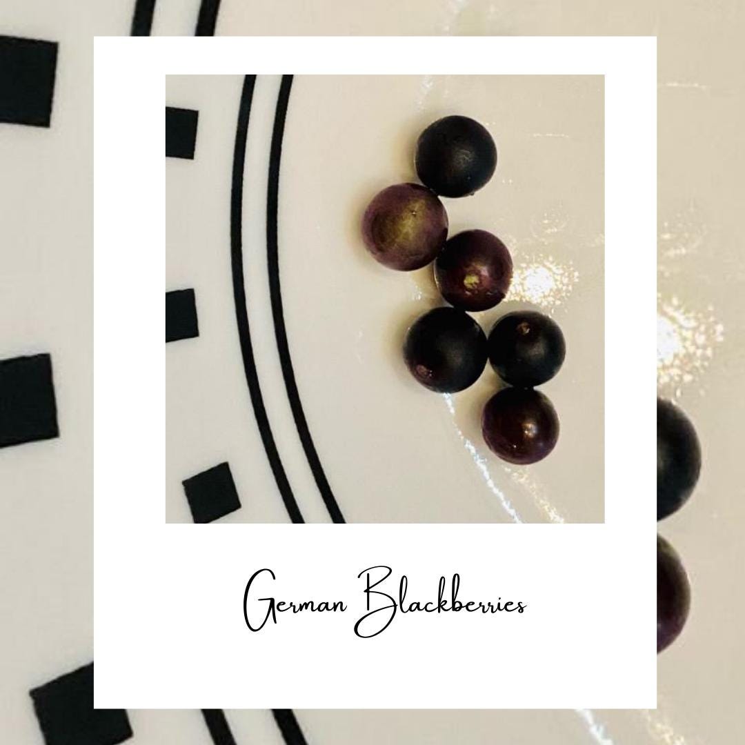 Sunberry German Blackberry Wonderberry Unique German Heirloom 25+ Seeds ...