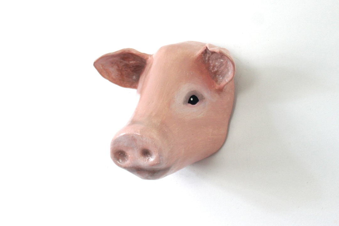 Piglet, Pig, Baby Pig Head / Piggy Bank / Wall Decoration / Wall Mount ...