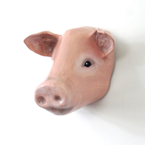 Pig Head Wall Mount - Etsy