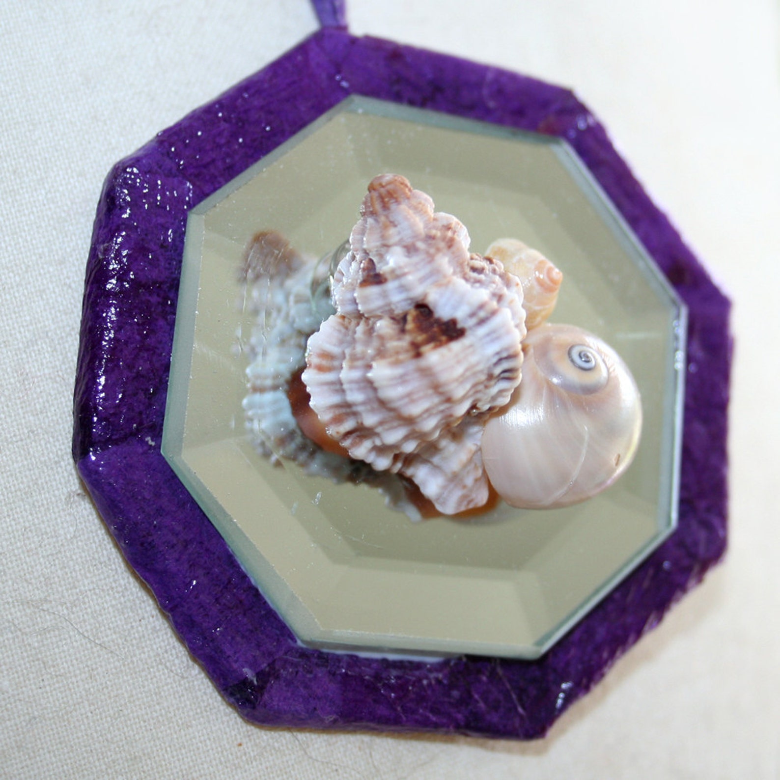 Whimsical seashell ornaments | Etsy