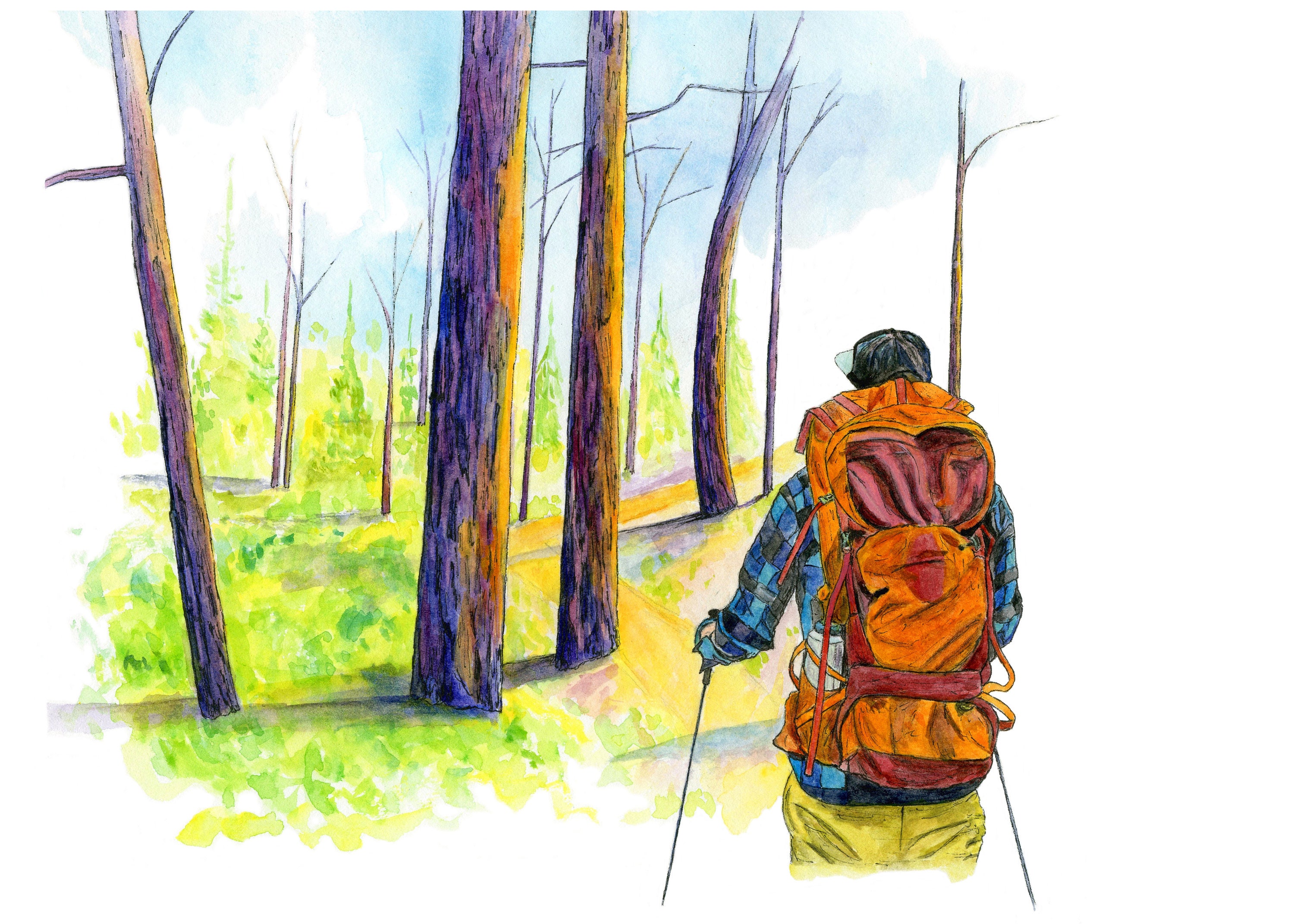 Into the Woods- Hiking Art, Watercolor Print, Watercolor Painting, Art ...