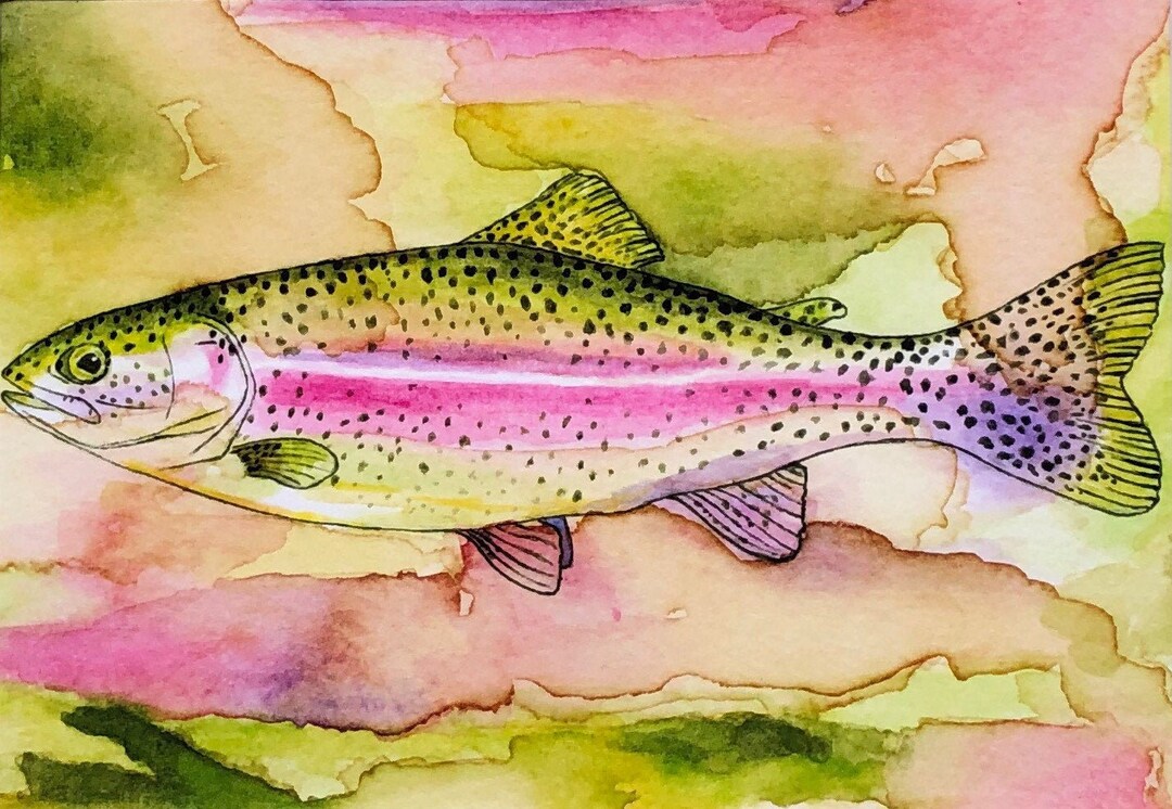Rainbow Trout, Trout Print, Fishing Print, Fishing Art, Outdoorsy Art ...